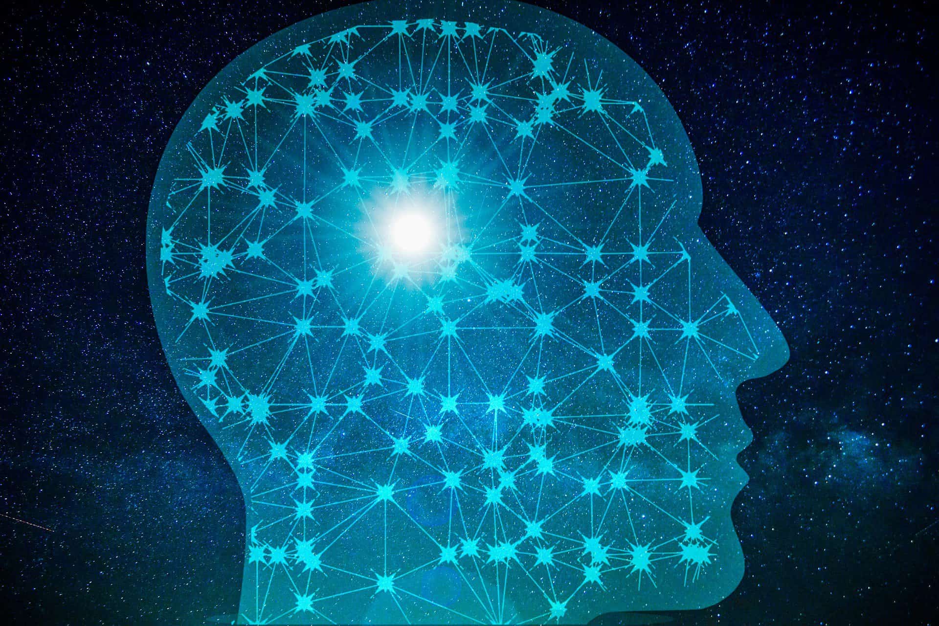 Scientific immortality: who wants to live for ever (apart from ...